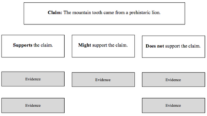 What is the role of evidence in a scientific argument? – The ...