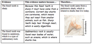 Sample completed reasoning tool – The Argumentation Toolkit